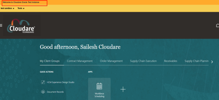 Make Oracle Fusion Yours: Logo, Theme & Custom Description – Cloudare Blogs